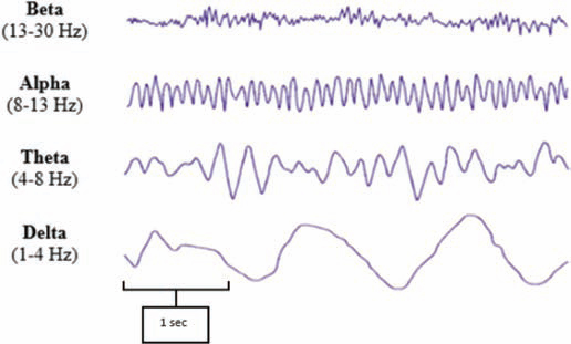 El ritmo alfa del EEG: La ventana hacia nuestra inteligencia. El estado de flujo. – Clínica ...